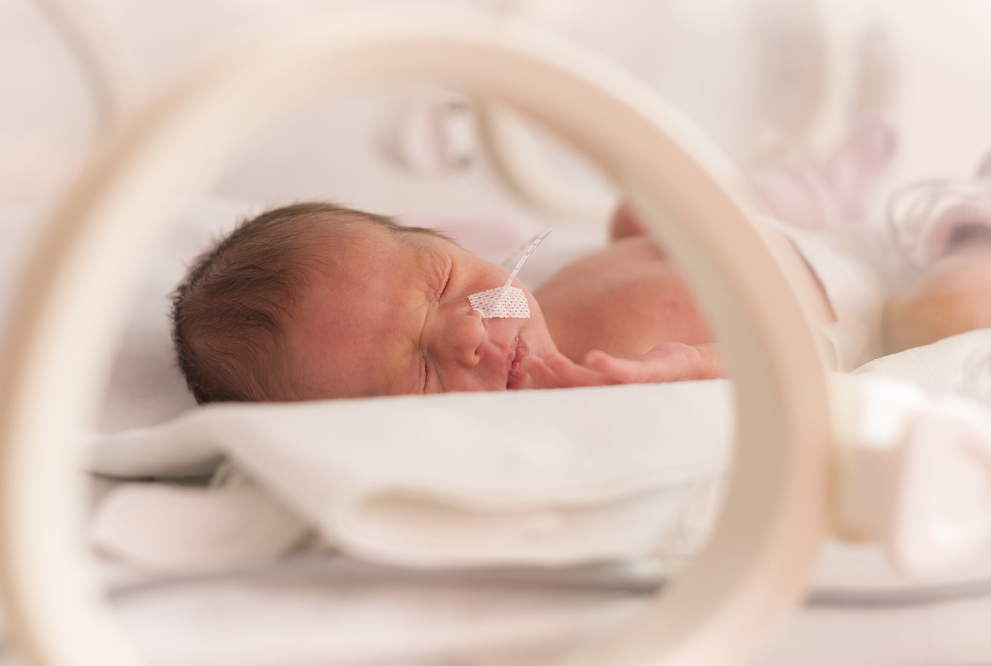 QEH FoundationHome • QEH Foundation