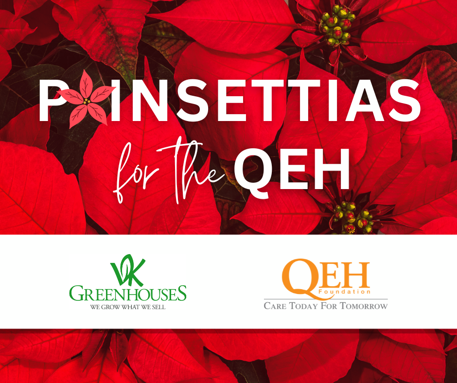 QEH FoundationPoinsettia Sales • QEH Foundation